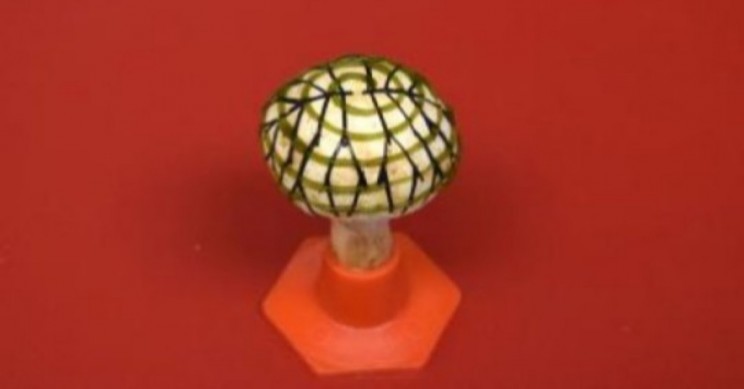 The Bionic Mushroom Could One Day Power The Music World - Bobby ...