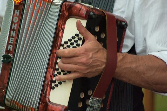 5 Techniques For Miking The Accordion - Bobby Owsinski's Music ...