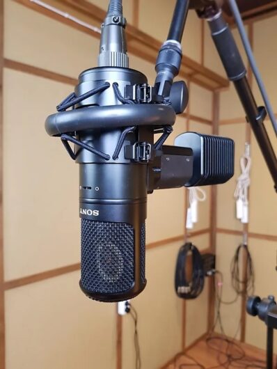 Production Legends And Their Unusual Microphone Choices - Bobby ...